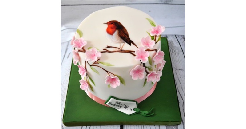 Bird cakes store