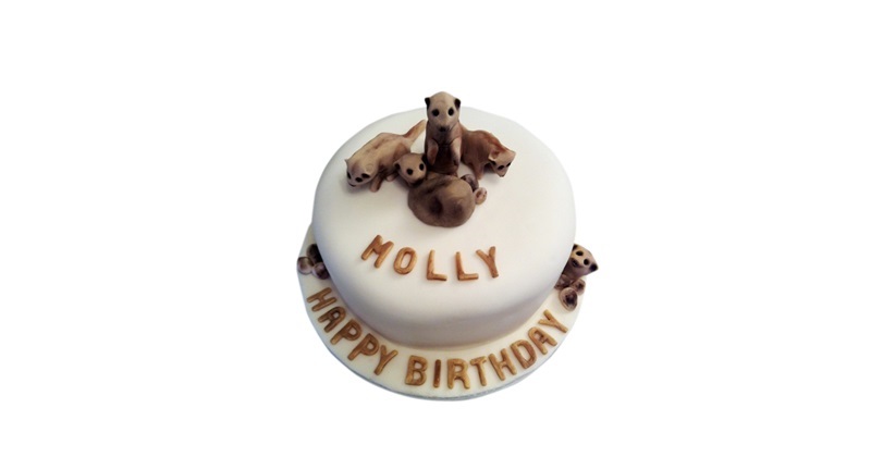 Meerkat Cake | Birthday Cake | Caker Street