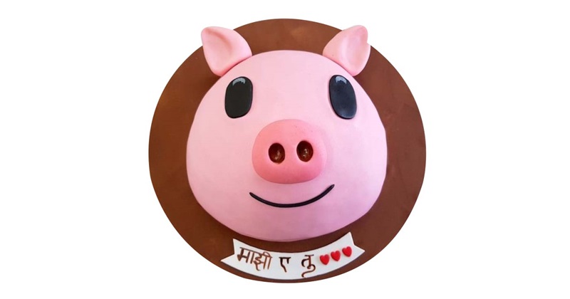 Pig face Shape Birthday Cake | Birthday Cake | Caker Street